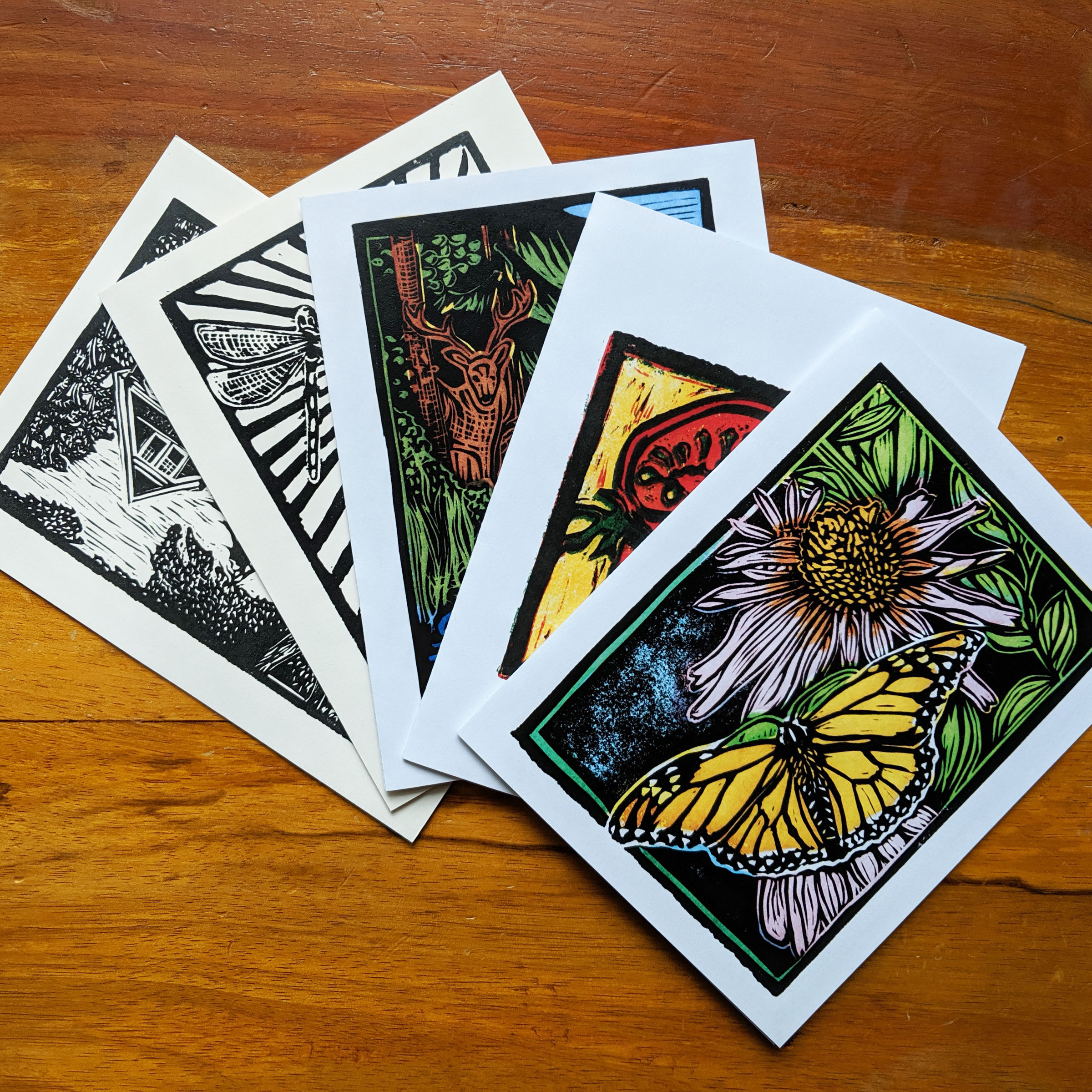 Blank Greeting Cards Assorted Variety Pack Of 5 Cards Katharina Nuss Blank Greeting Cards Assorted Variety Pack Of 5 Cards Katharina Nuss
